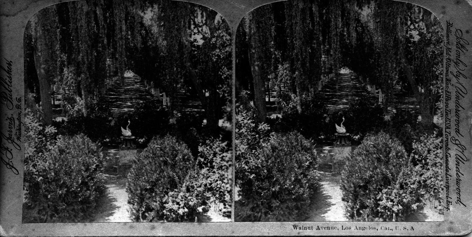 "WALNUT AVENUE, LOS ANGELES, CAL., U.S.A."