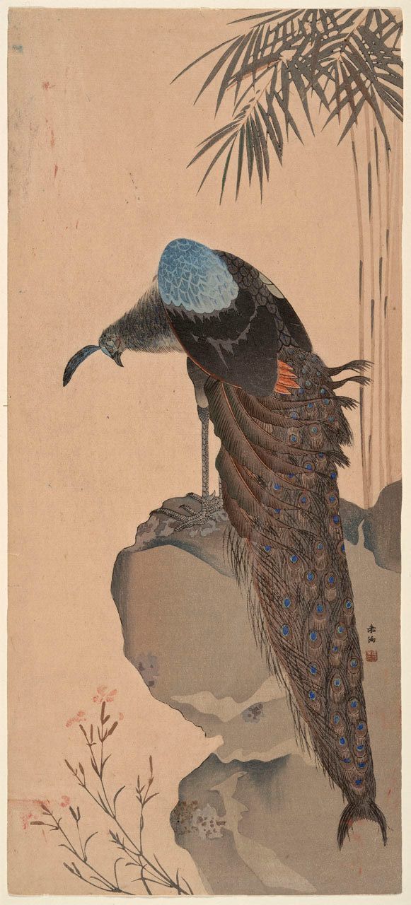 Crocker Art Museum - Art - Peacock by Yamaguchi Soken | Crocker Art Museum