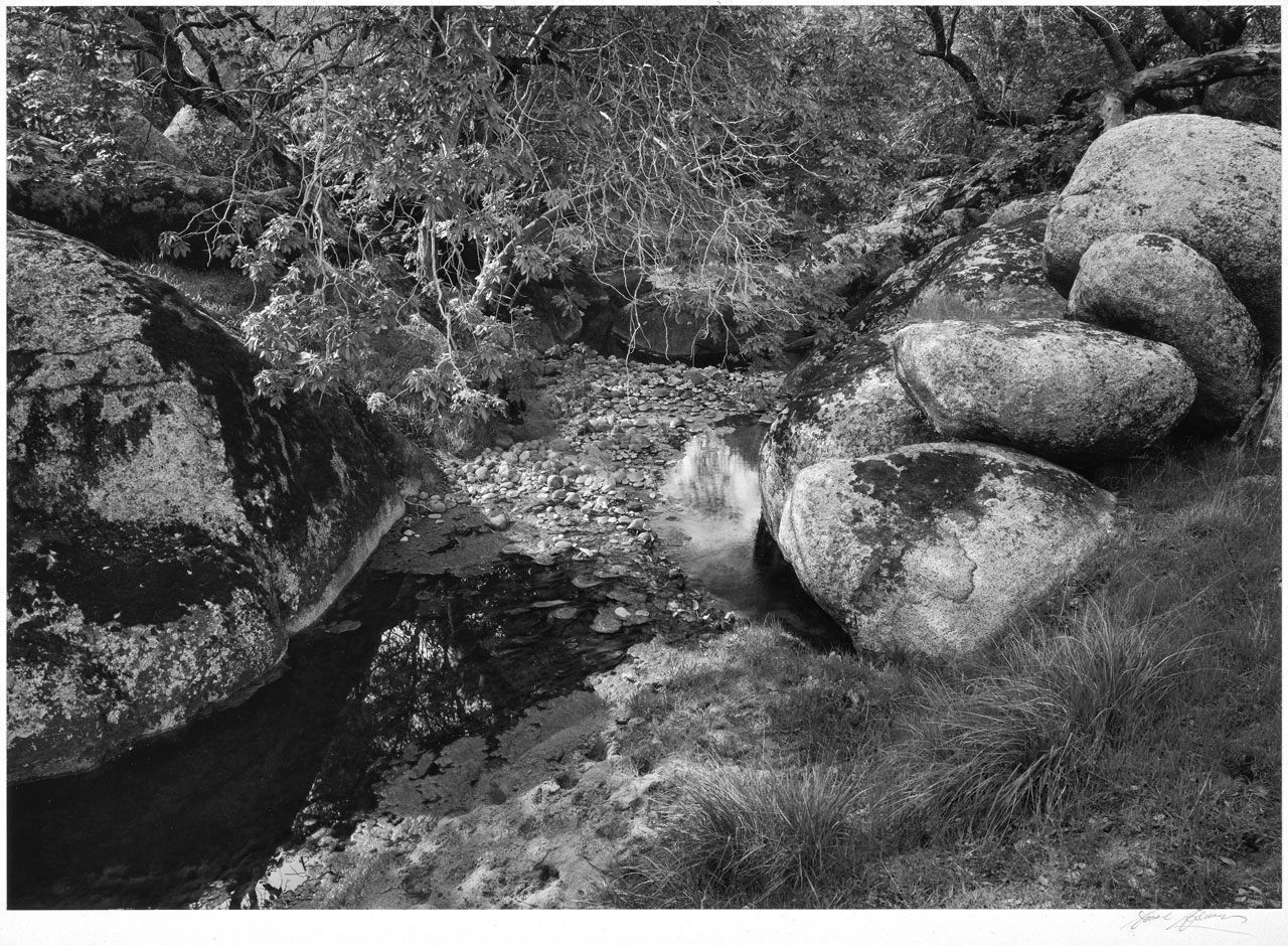 Crocker Art Museum - Art - Rocks, Leaves, Pool by Ansel Adams | Crocker ...