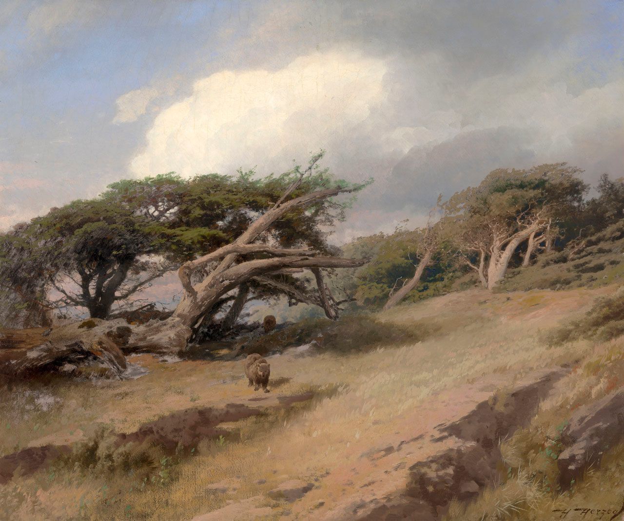 Crocker Art Museum - Art - Monterey Cypress with Bears by Herman Herzog ...