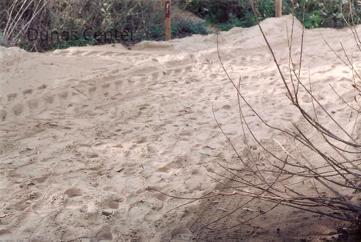 Oso Flaco Lake Color Photograph