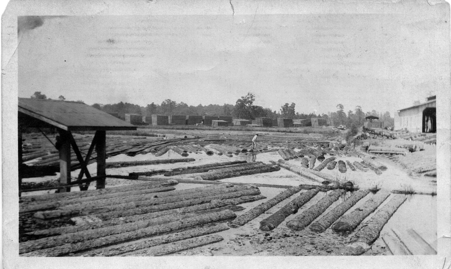 Long Leaf Mill Pond