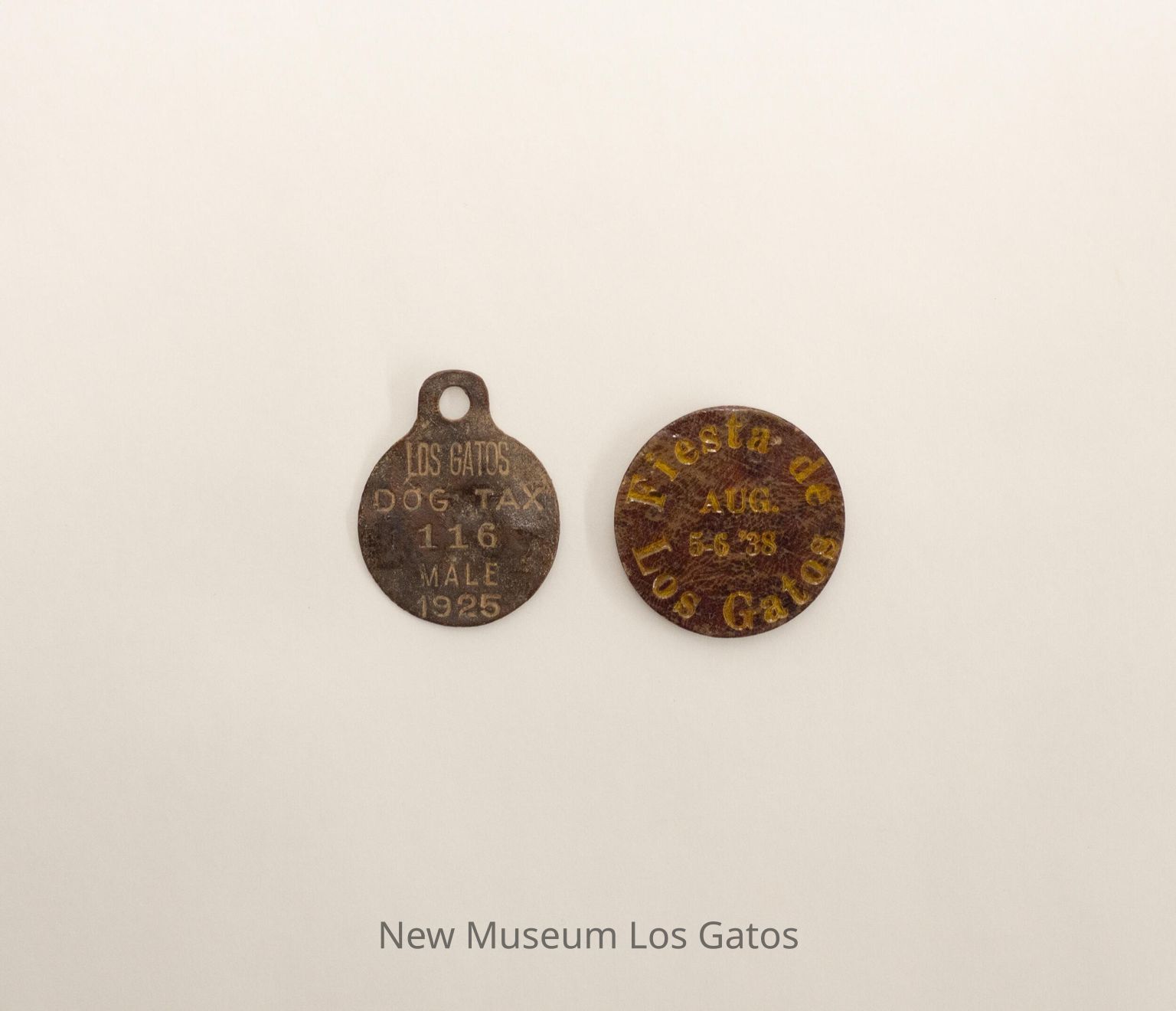 Dog Tag and Commemorative Token