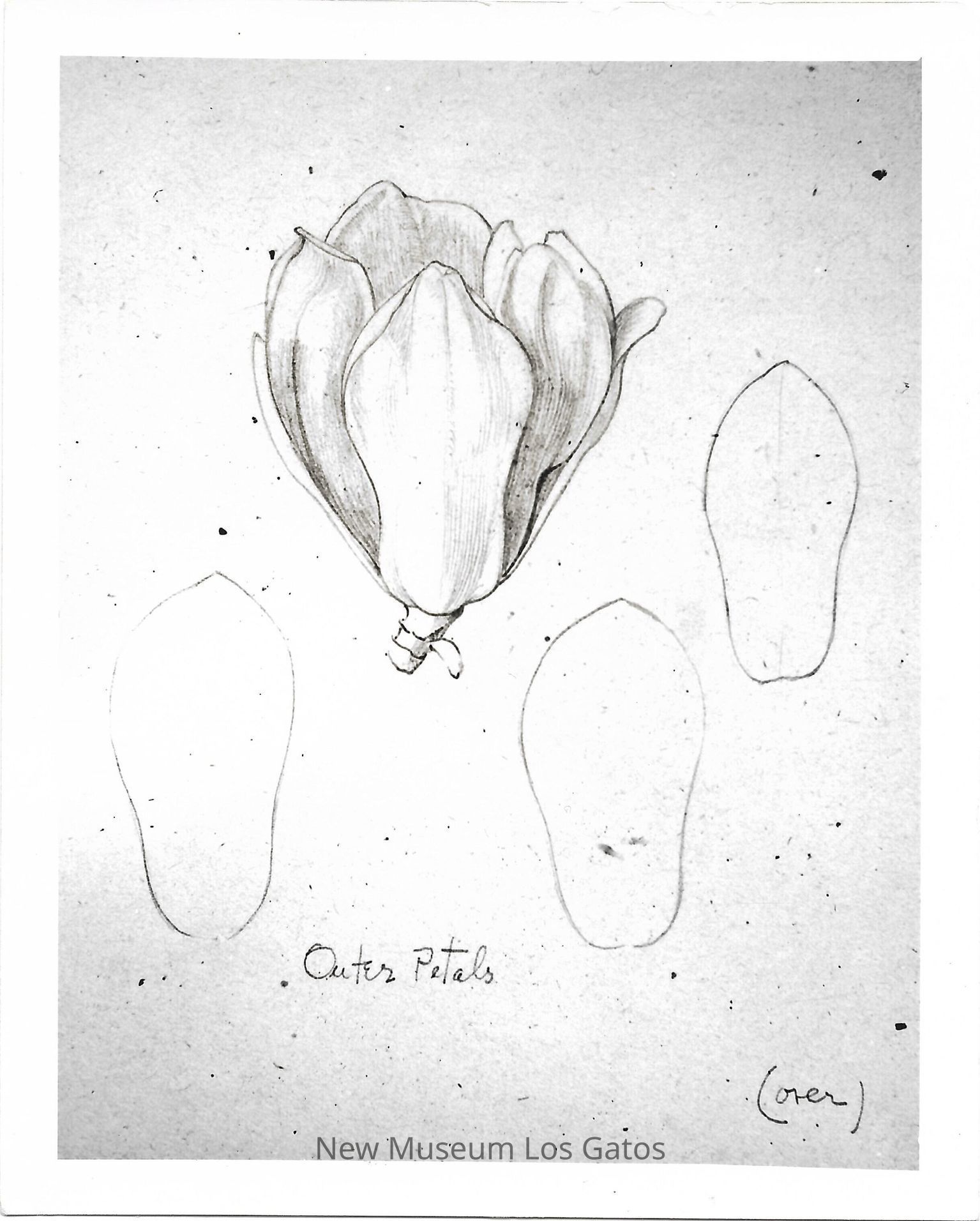 Frank Ingerson and Drawing