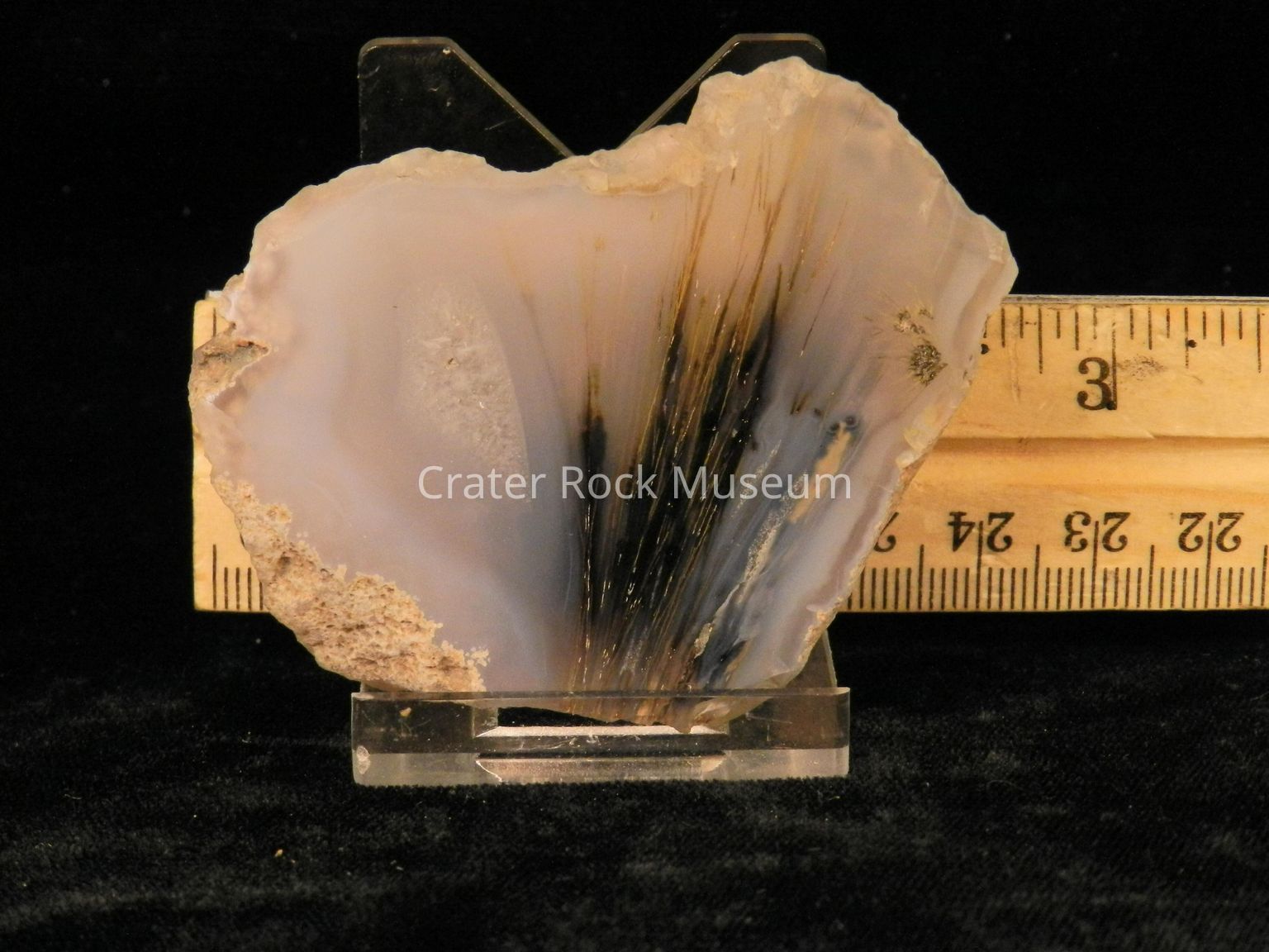 Quartz var. Agate (sagenite)