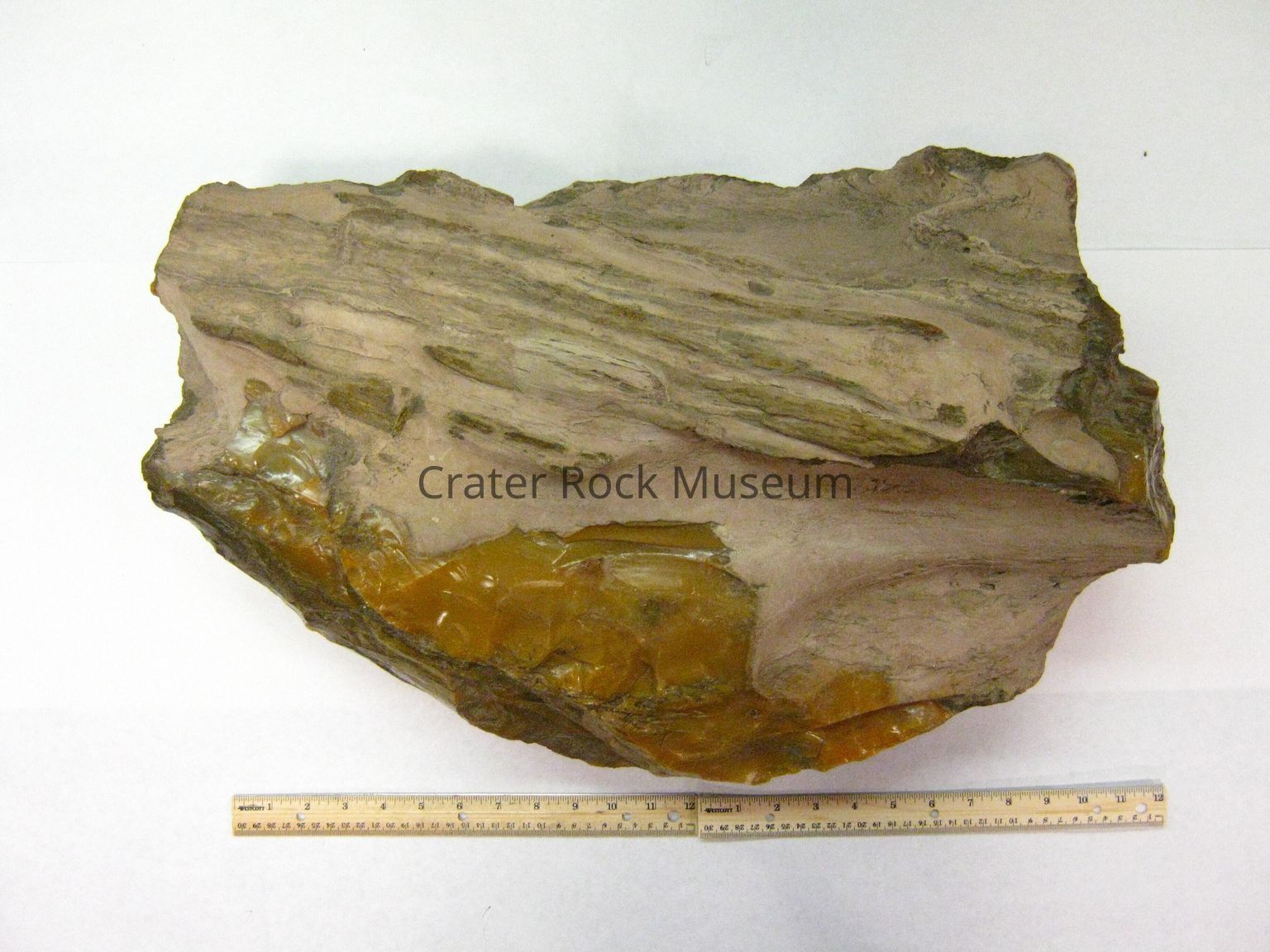 Limb Cast