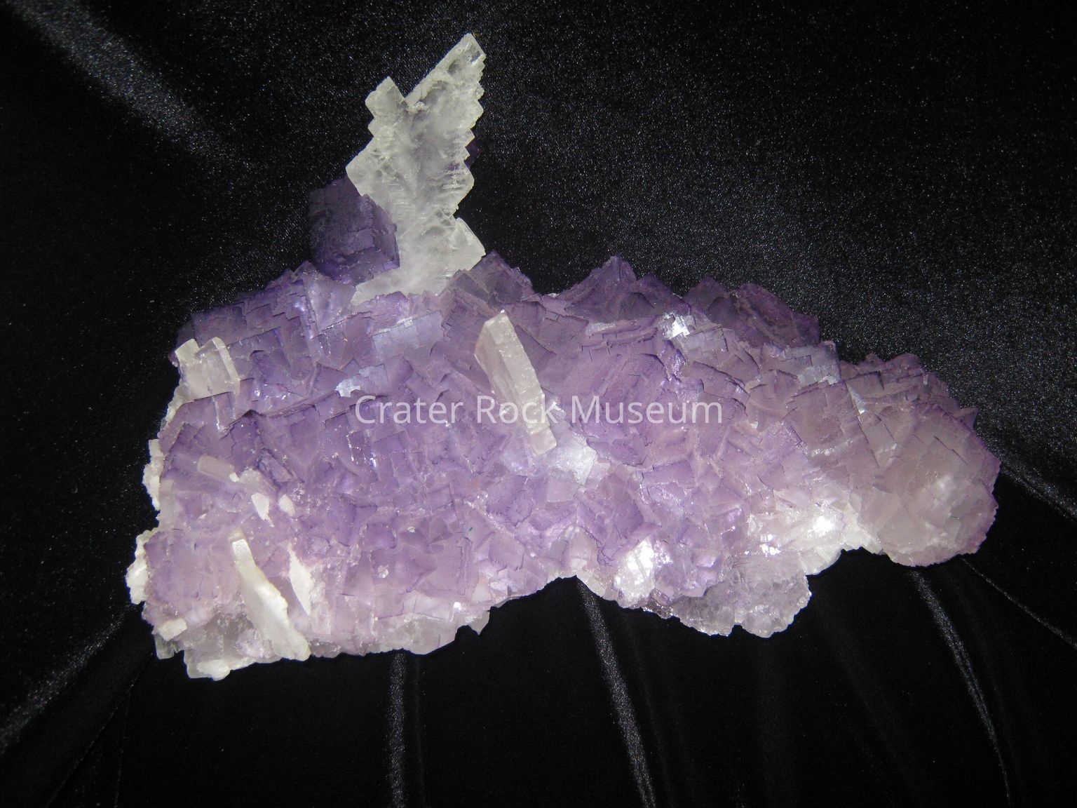 Celestite in Fluorite
