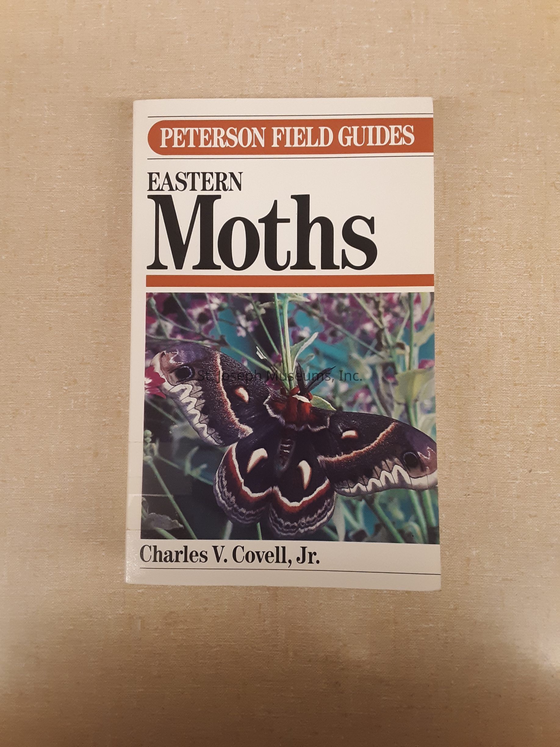 Eastern Moths