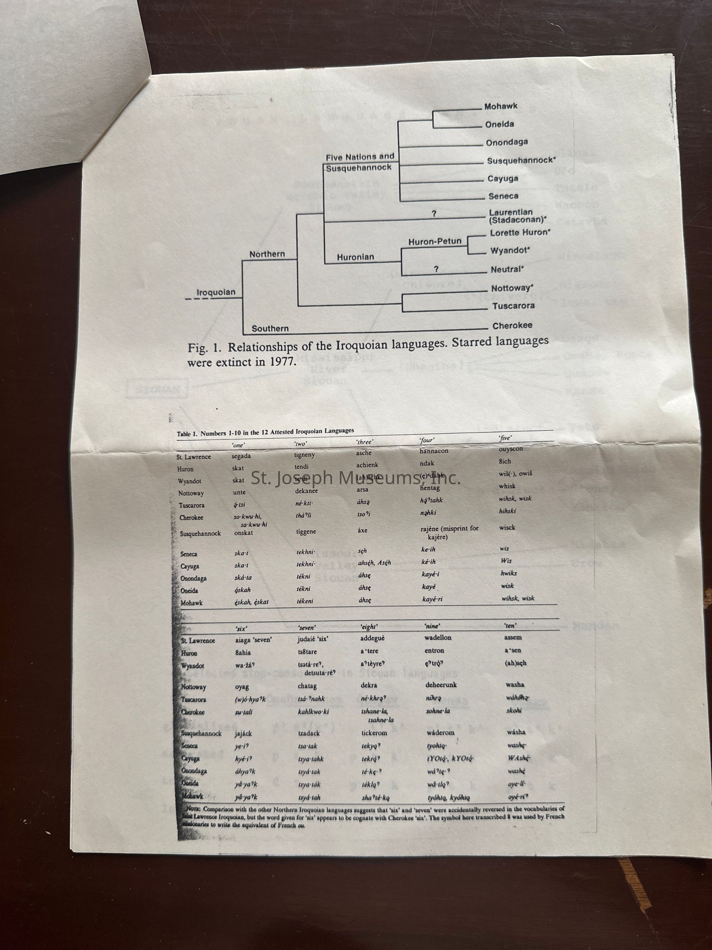 Algonquian Linguistic Relationships