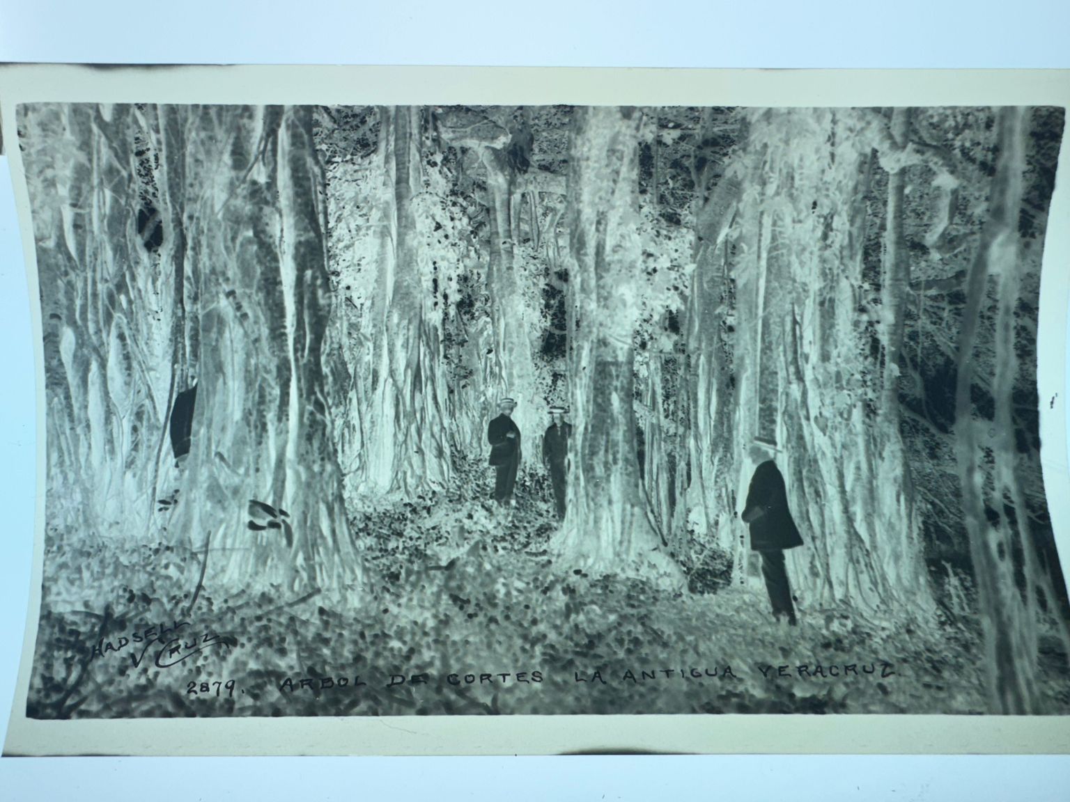 W.E. Hadsell Photograph Collection - Maritime Museum of San Diego
