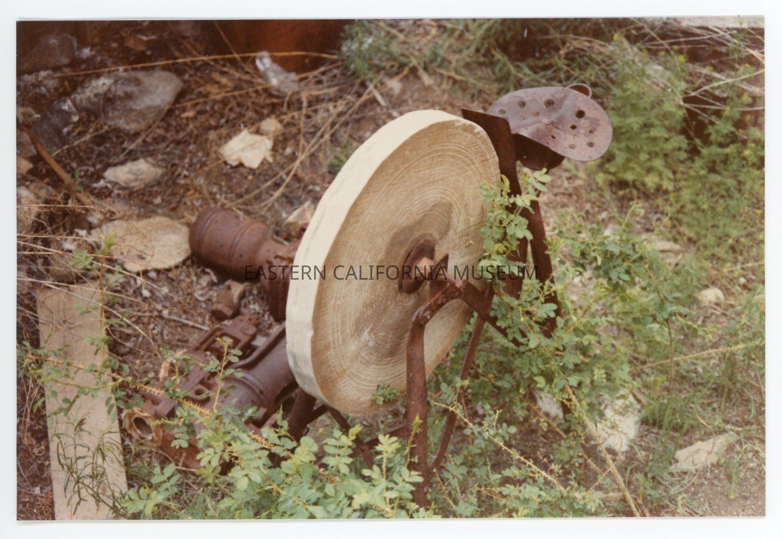 Print. Photographic